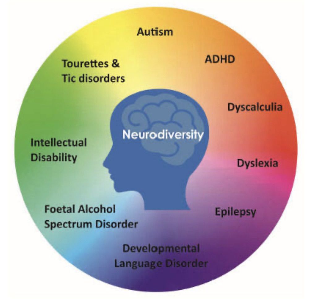 Embracing Neurodiversity: Understanding, Acceptance, and Support – The ...
