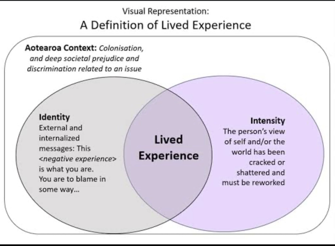 Title: The Power of Lived Experience: Understanding and Representation ...